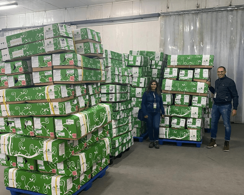 Il nostro concept – AMFLORA