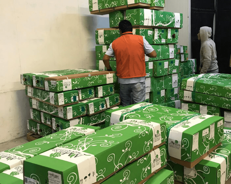 Il nostro concept – AMFLORA