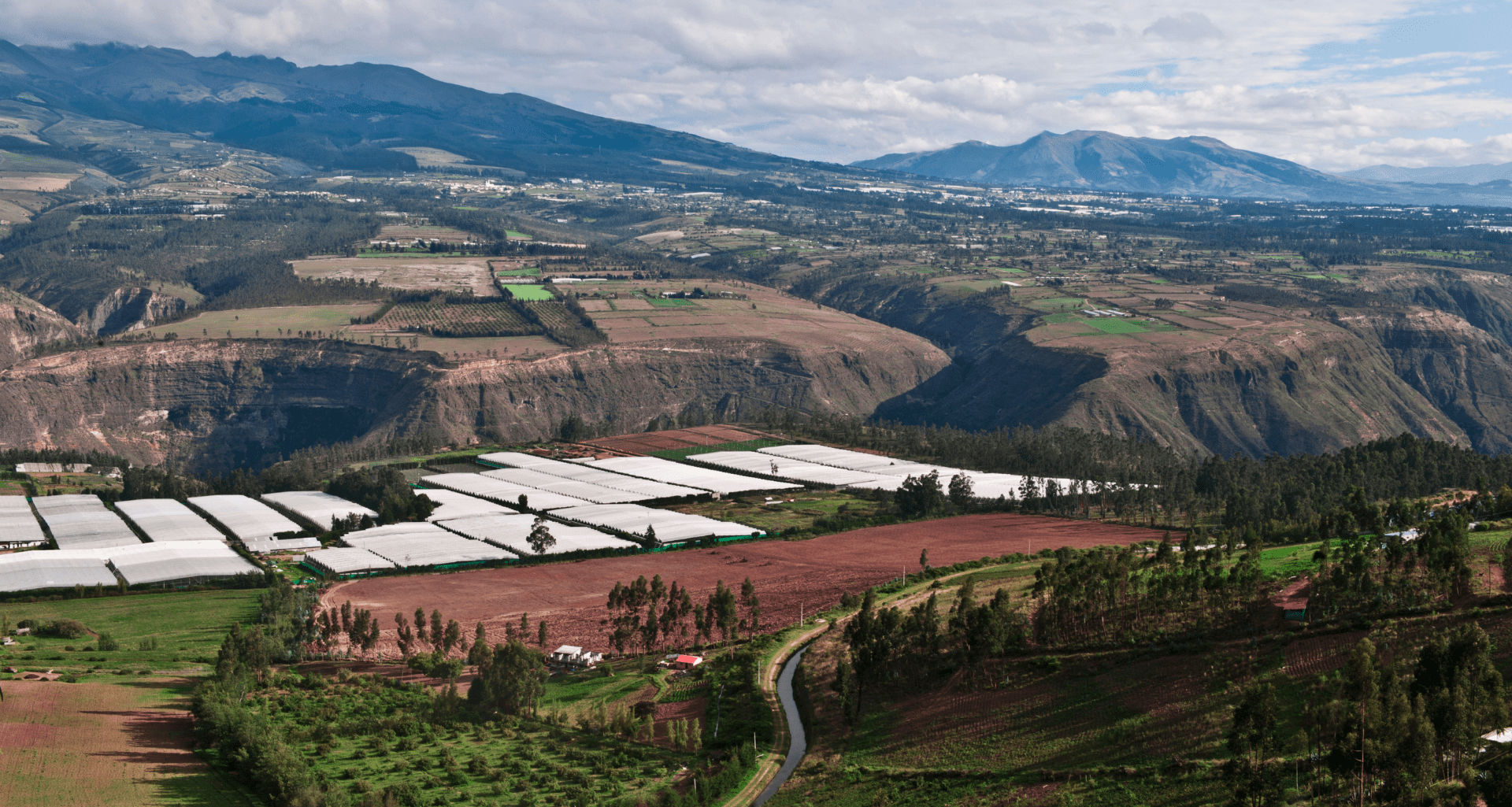 About Us – AMFLORA