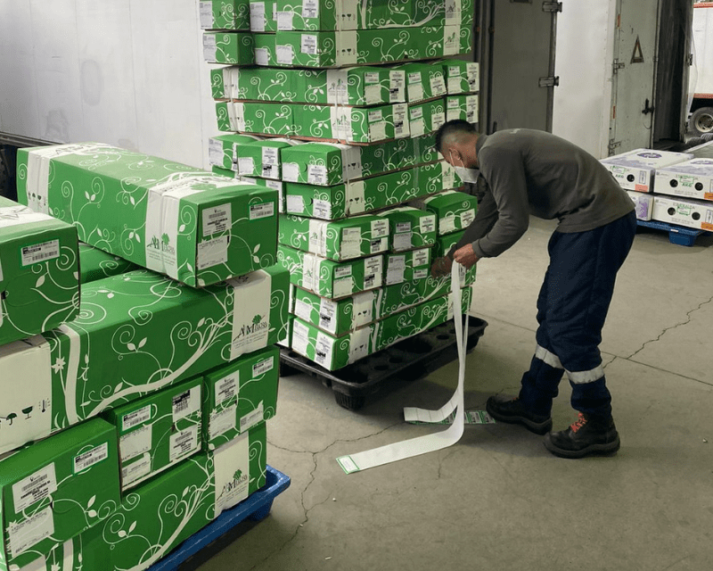 Il nostro concept – AMFLORA