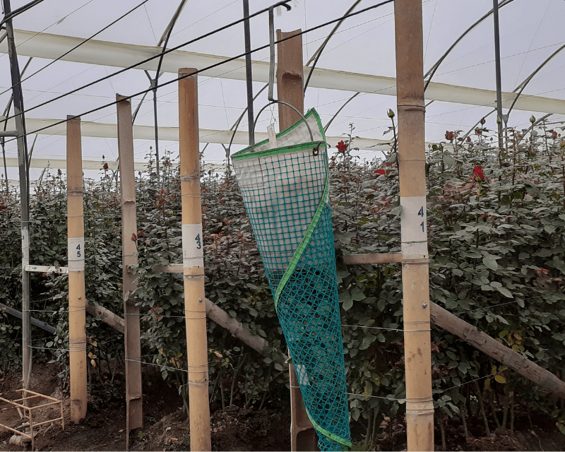 Il nostro concept – AMFLORA