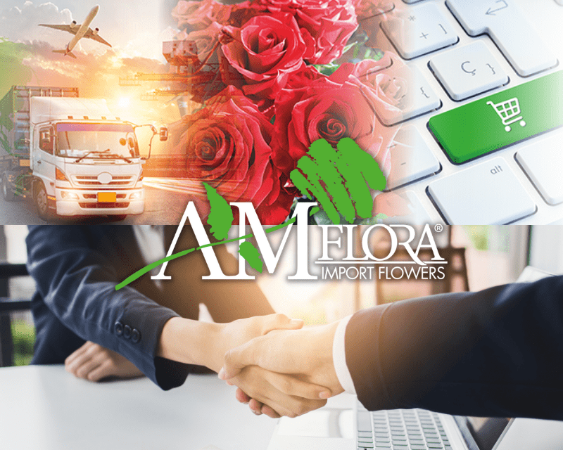 Il nostro concept – AMFLORA