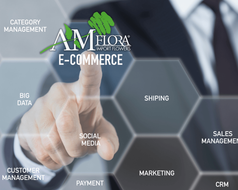 Il nostro concept – AMFLORA